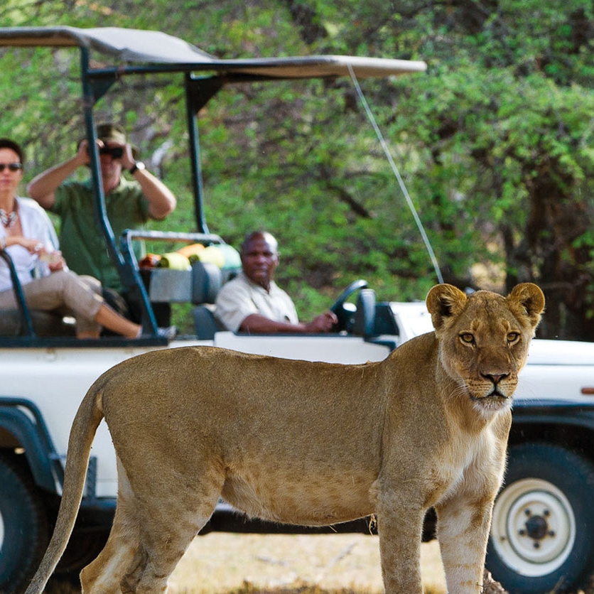 Classic Zimbabwe Safari Package: Hwange and Mana Pools - Africa Endeavours
