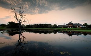Leopard Creek: South Africa's Must-Play Golf Course