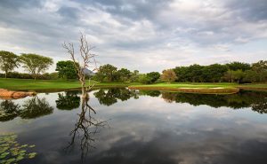 Leopard Creek: South Africa's Must-Play Golf Course