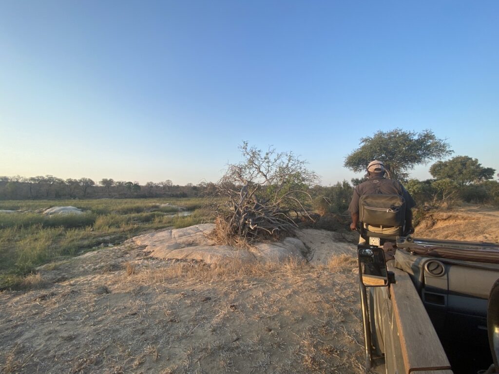 42 Ronios tracker at Lion Sands IMG_5664 Large - Africa Endeavours